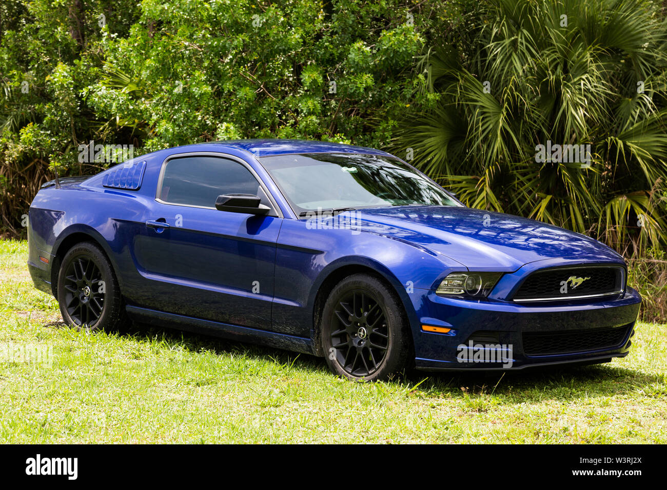 2014 ford mustang fastback coupe hi-res stock photography and images ...