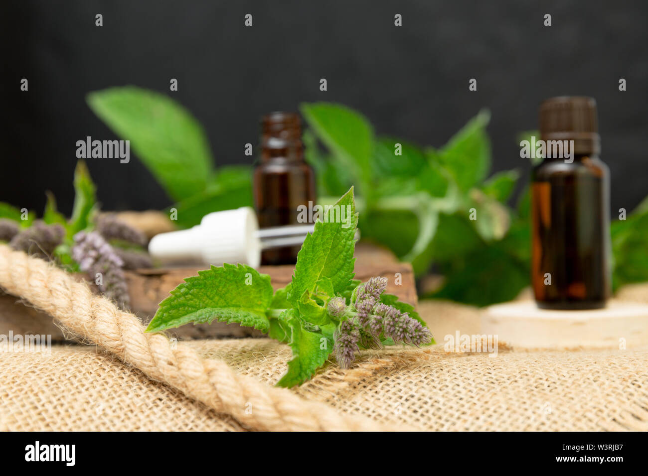 Natural peppermint essential oil in a glass bottle with fresh mint ...