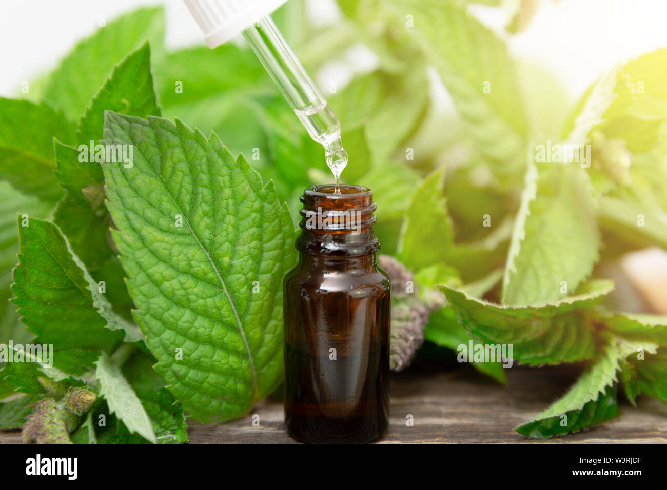 Natural peppermint essential oil in a glass bottle with fresh mint ...