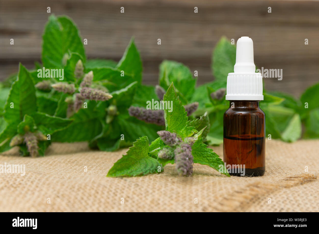 Natural peppermint essential oil in a glass bottle with fresh mint ...