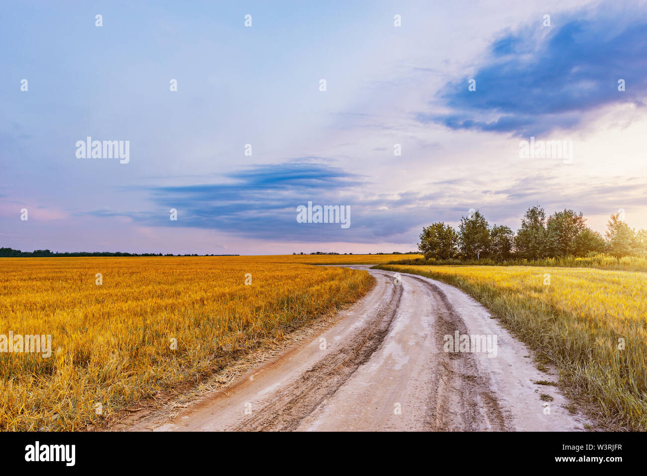 Field with rye and road at sunset time Stock Photo - Alamy