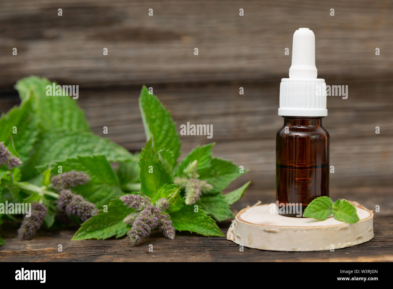 Natural peppermint essential oil in a glass bottle with fresh mint ...