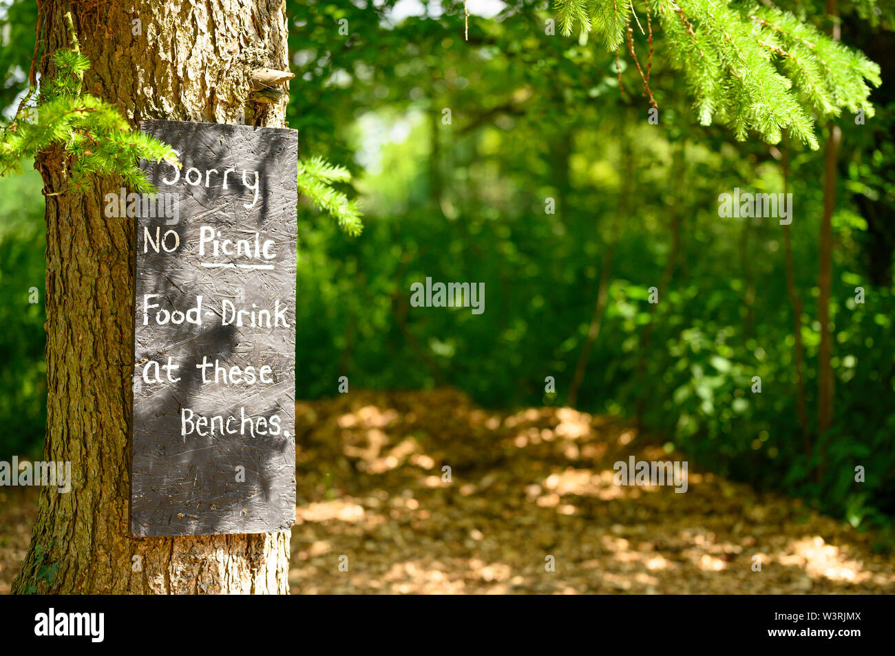 Sorry no picnic or food or drink at these benches sign Stock Photo - Alamy