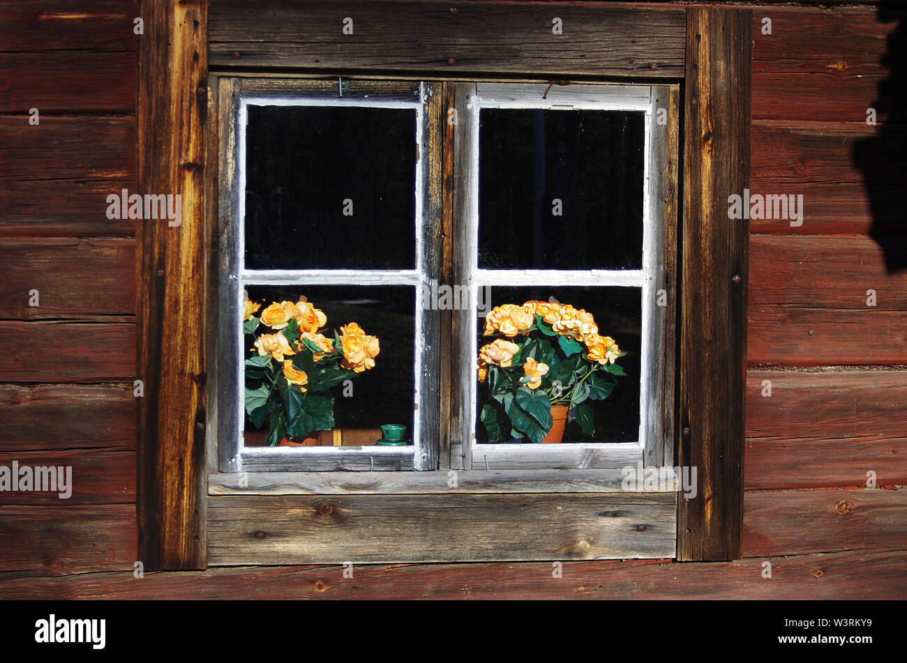 An old wooden window on a small log cabin in the forest Stock Photo - Alamy