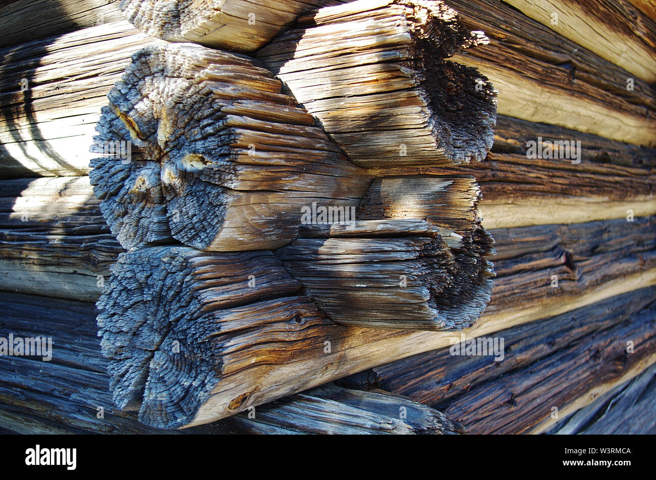 Close up of logs from a log cabin in the forest Stock Photo - Alamy