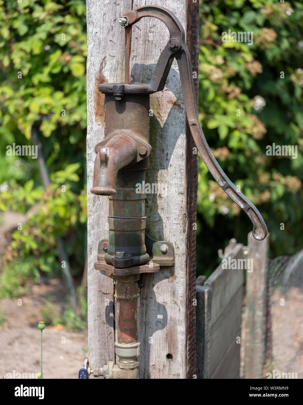 old and rusty cast iron water pump in vegetable garden Stock Photo - Alamy