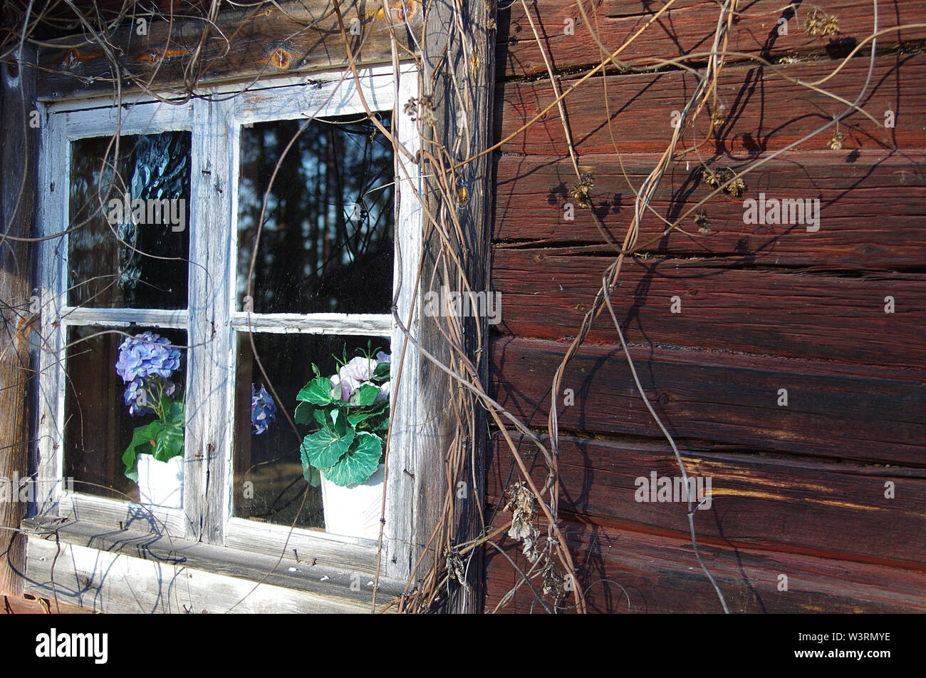 An old wooden window on a small log cabin in the forest Stock Photo - Alamy