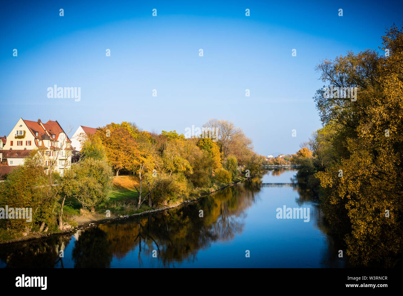 Scenics view of trees near the river Stock Photo - Alamy