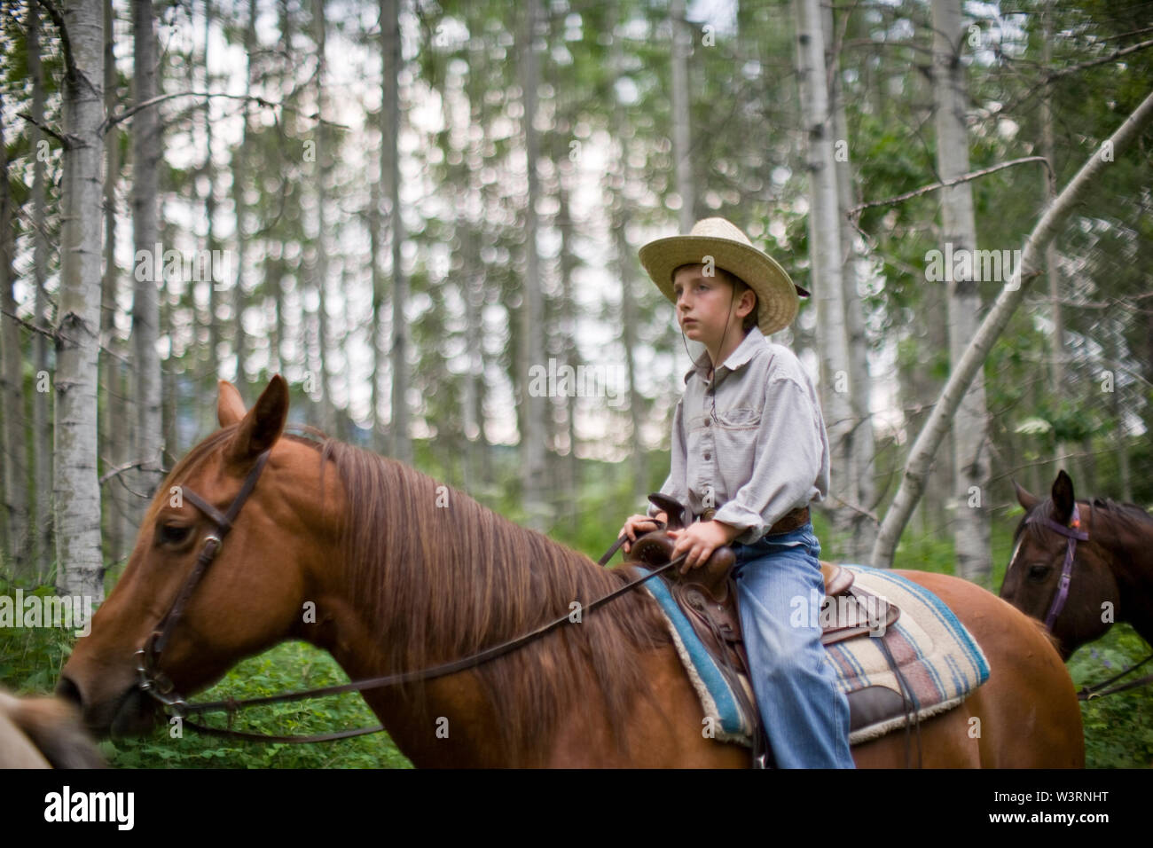 Boy riding horse in forest Stock Photo - Alamy