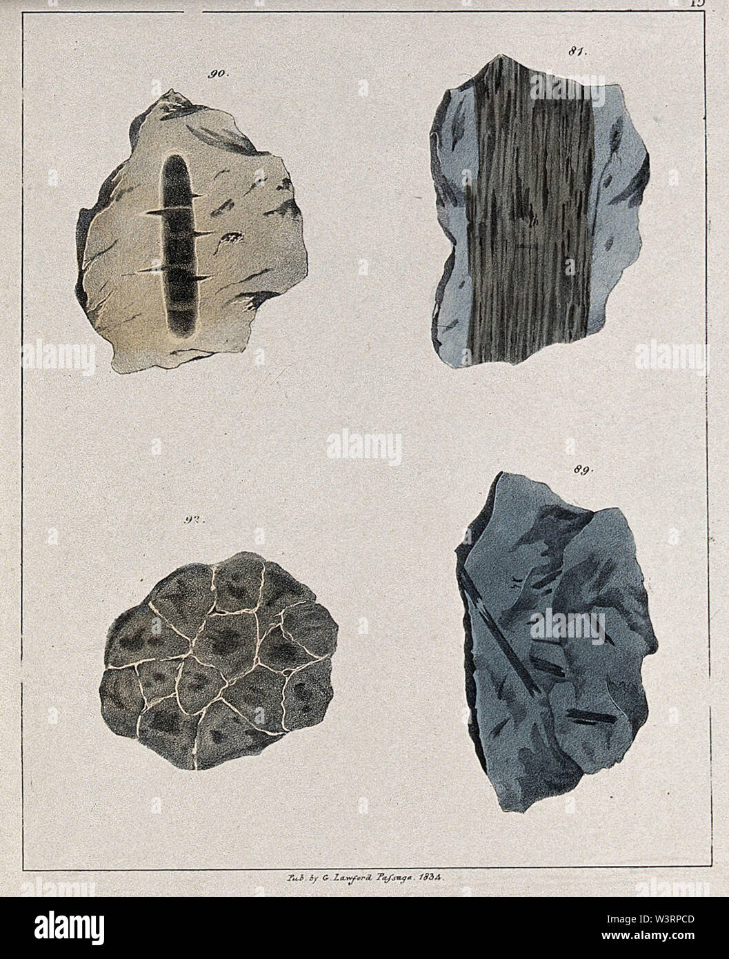 Fossil background hi-res stock photography and images - Alamy