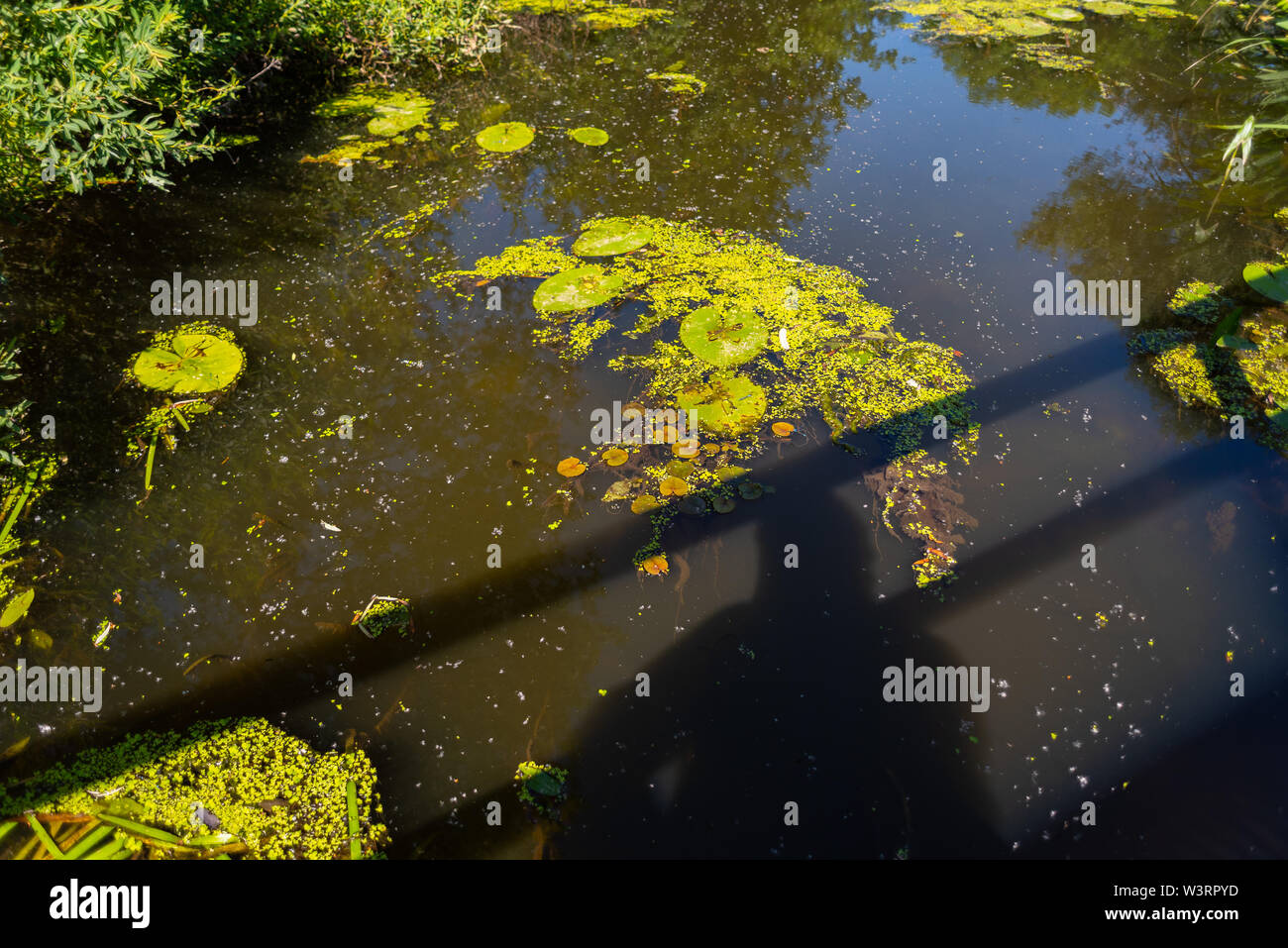 The water always finds its way through nature Stock Photo - Alamy