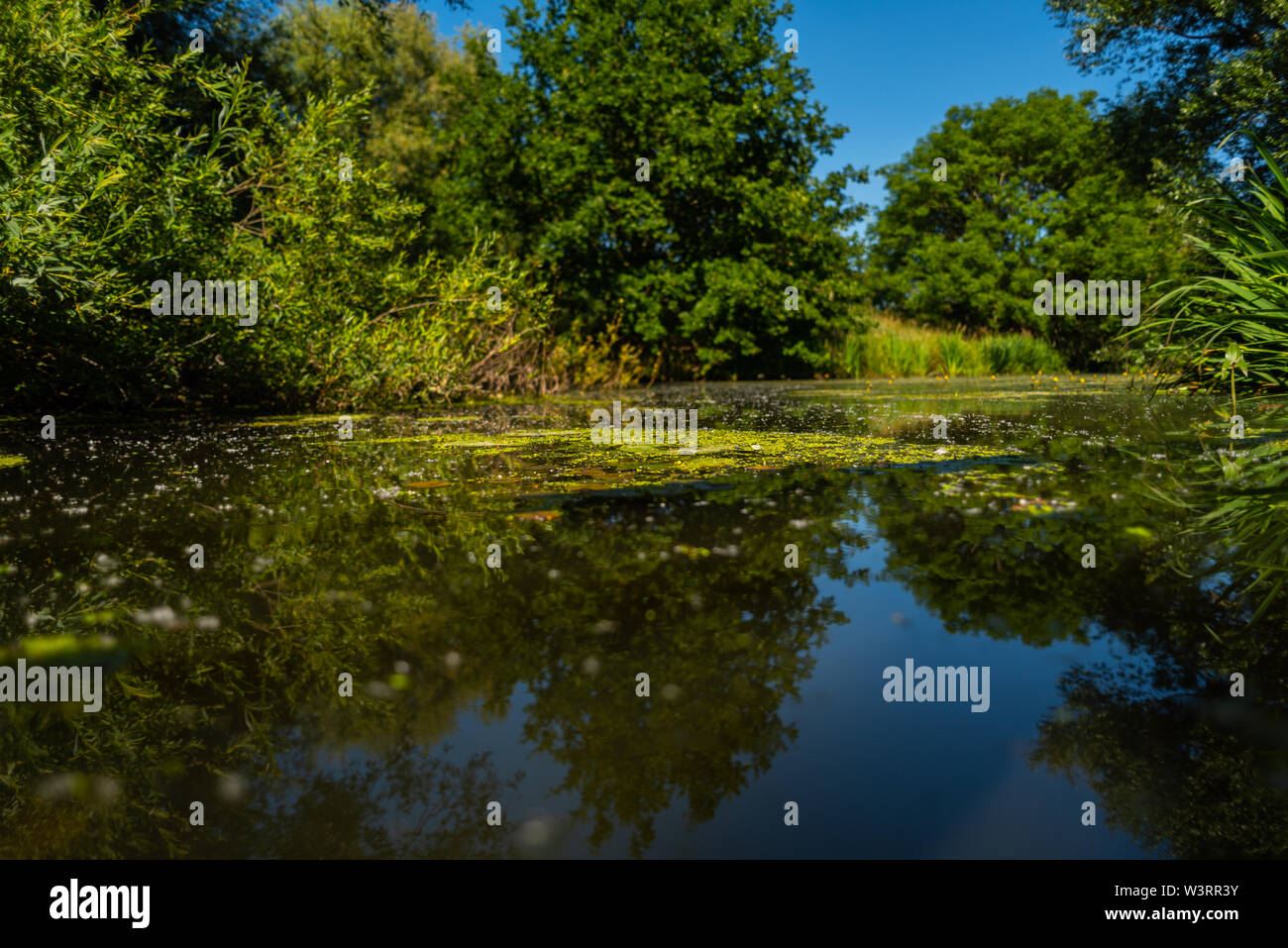 The water always finds its way through nature Stock Photo - Alamy