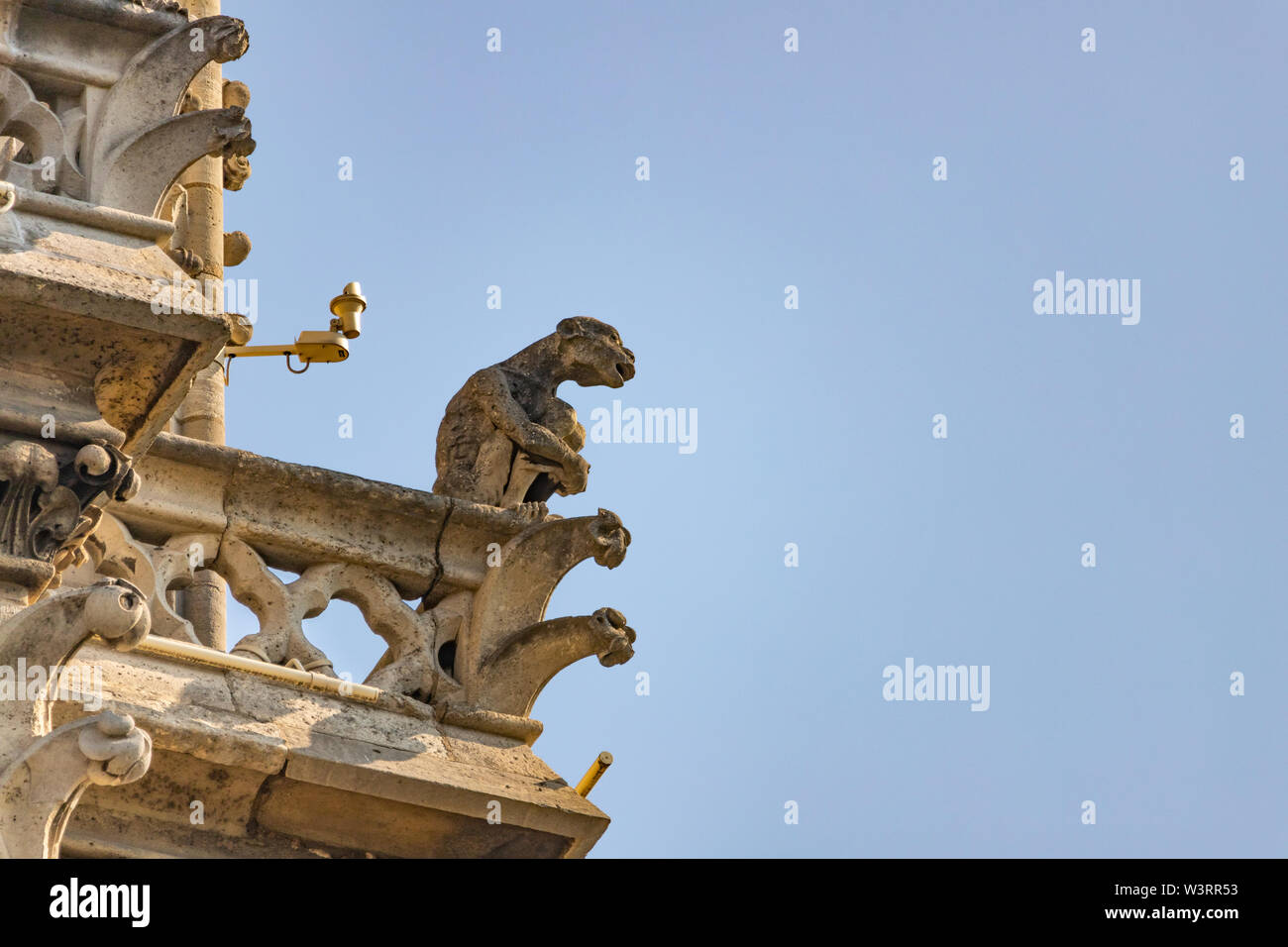 Gargoyles of Notre Dame Cathedral, Paris, France Stock Photo - Alamy