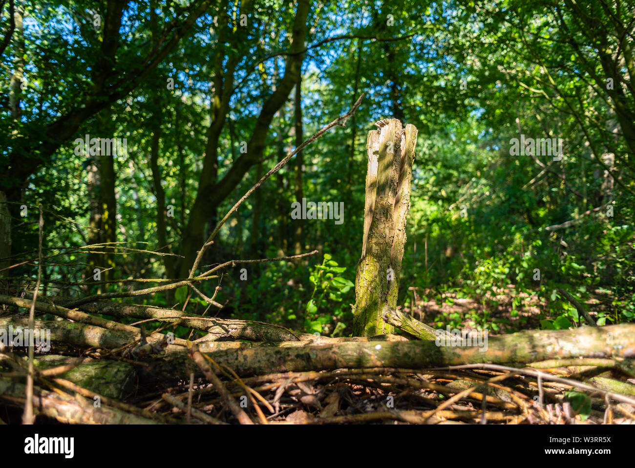 Wonderful natur hi-res stock photography and images - Alamy