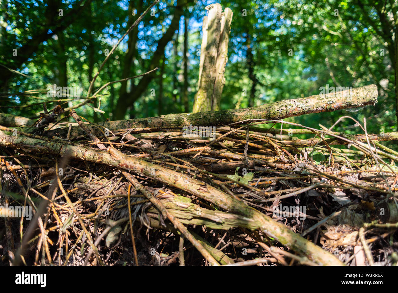 Wonderful natur hi-res stock photography and images - Alamy