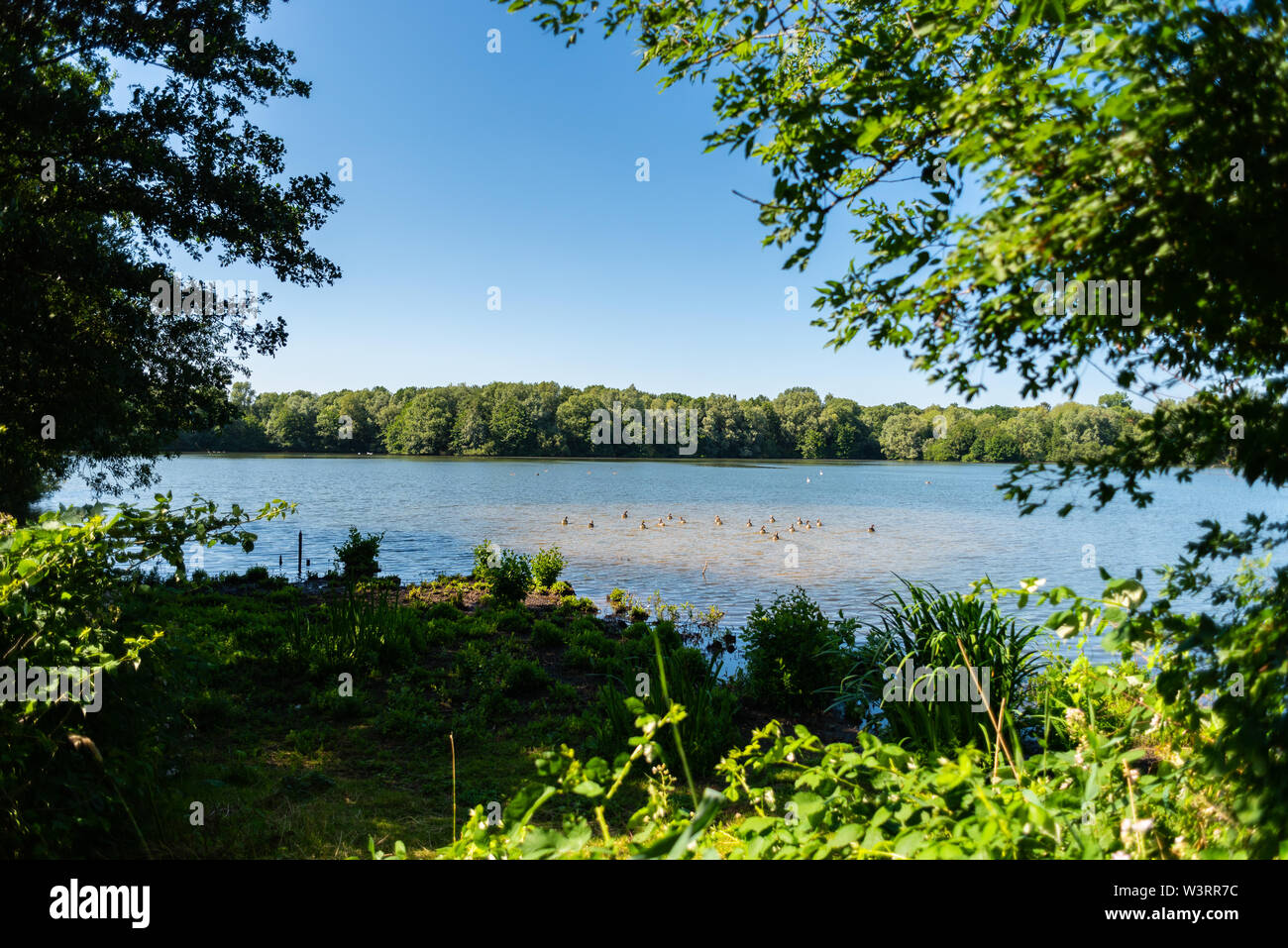 The water always finds its way through nature Stock Photo - Alamy