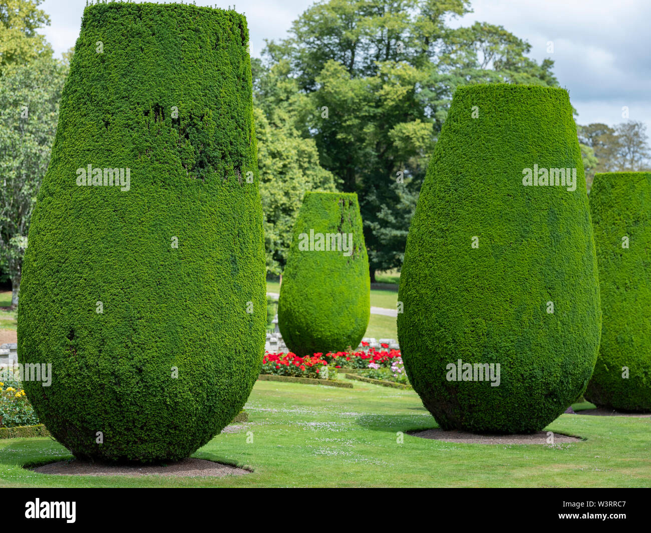 Lanhydrock gardens lanhydrock garden hi-res stock photography and ...