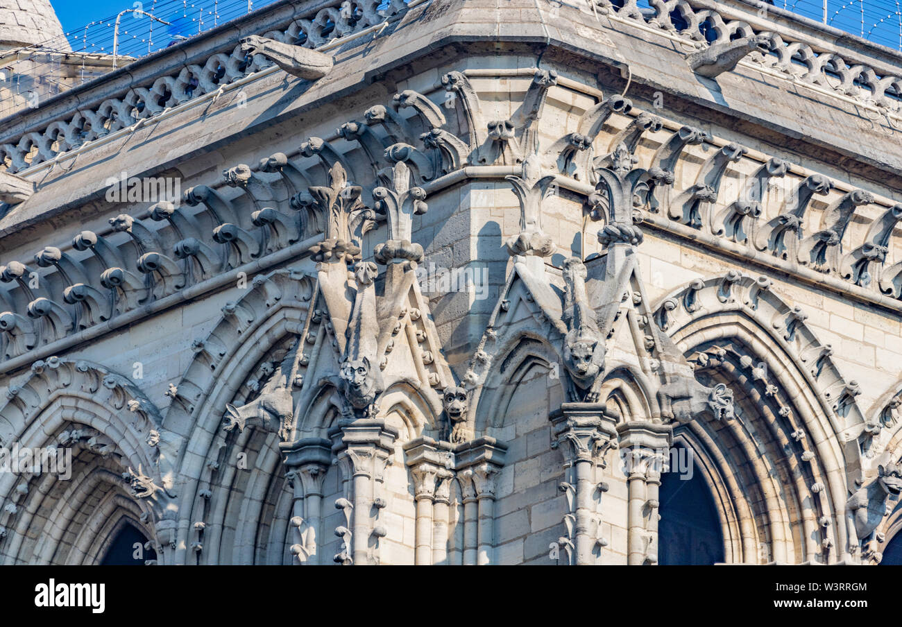 Notre Dame de Paris, France, Gargoyles, Chimera Stock Photo - Alamy