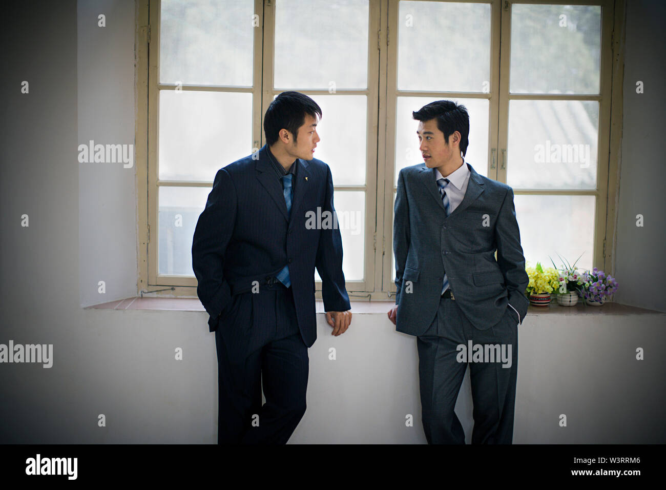 Two young adult businessmen standing beside a window talking Stock ...
