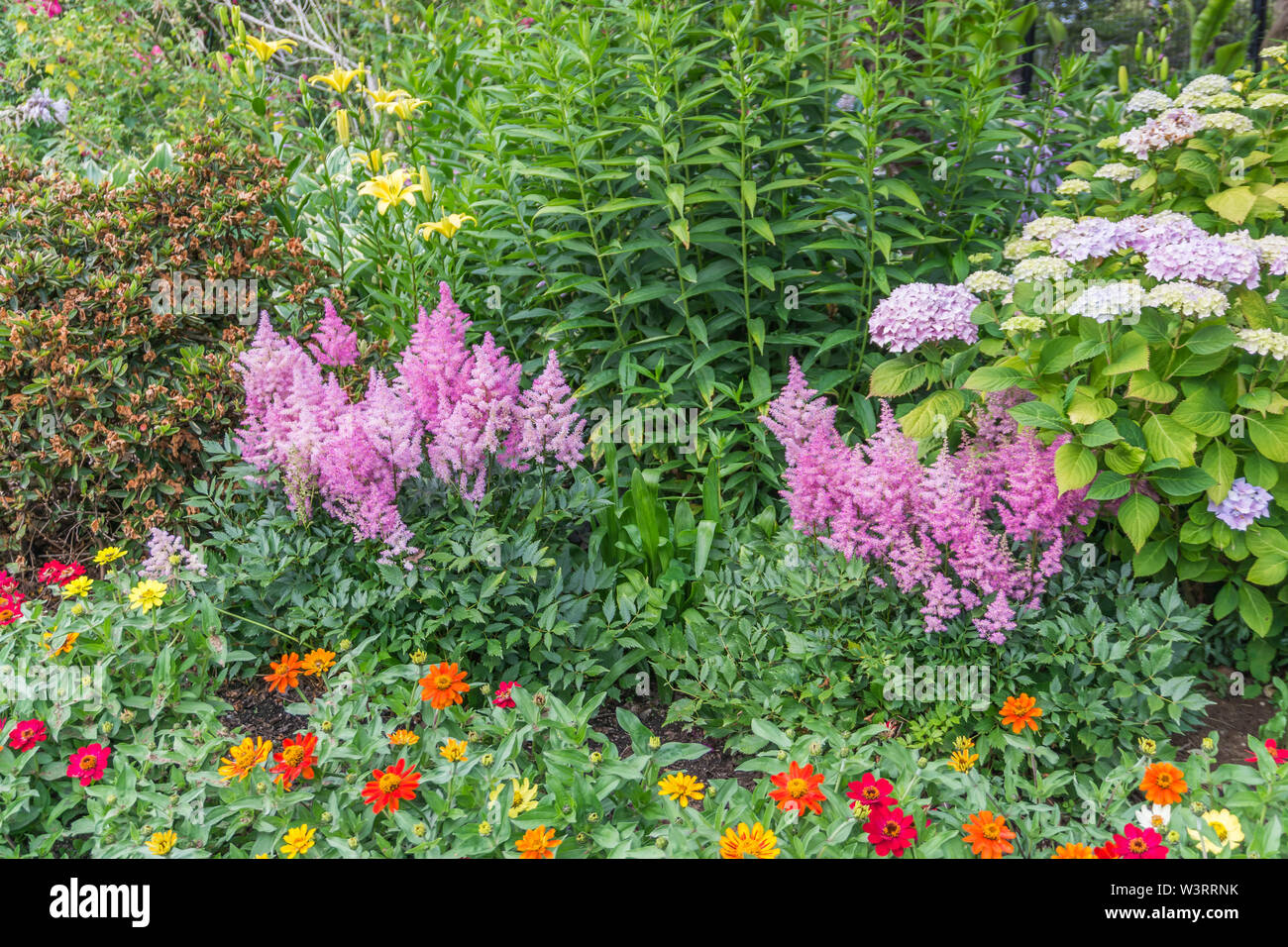 Fluffy pink flowers hi-res stock photography and images - Alamy