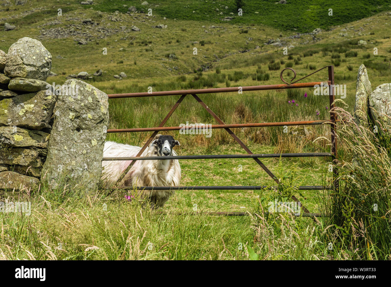 Upland Pass High Resolution Stock Photography and Images - Alamy