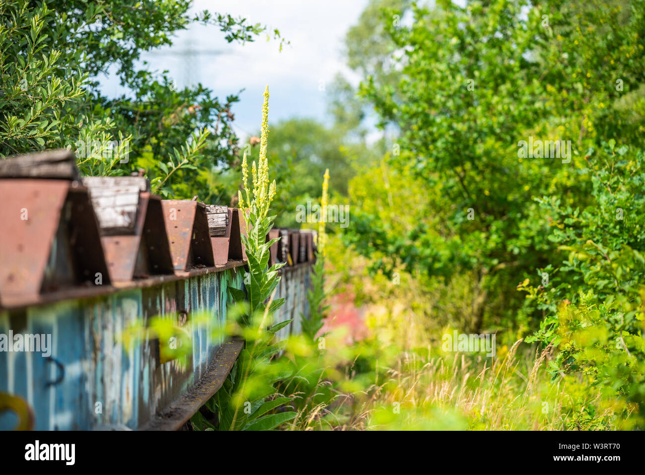 Disused freight railway hi-res stock photography and images - Alamy