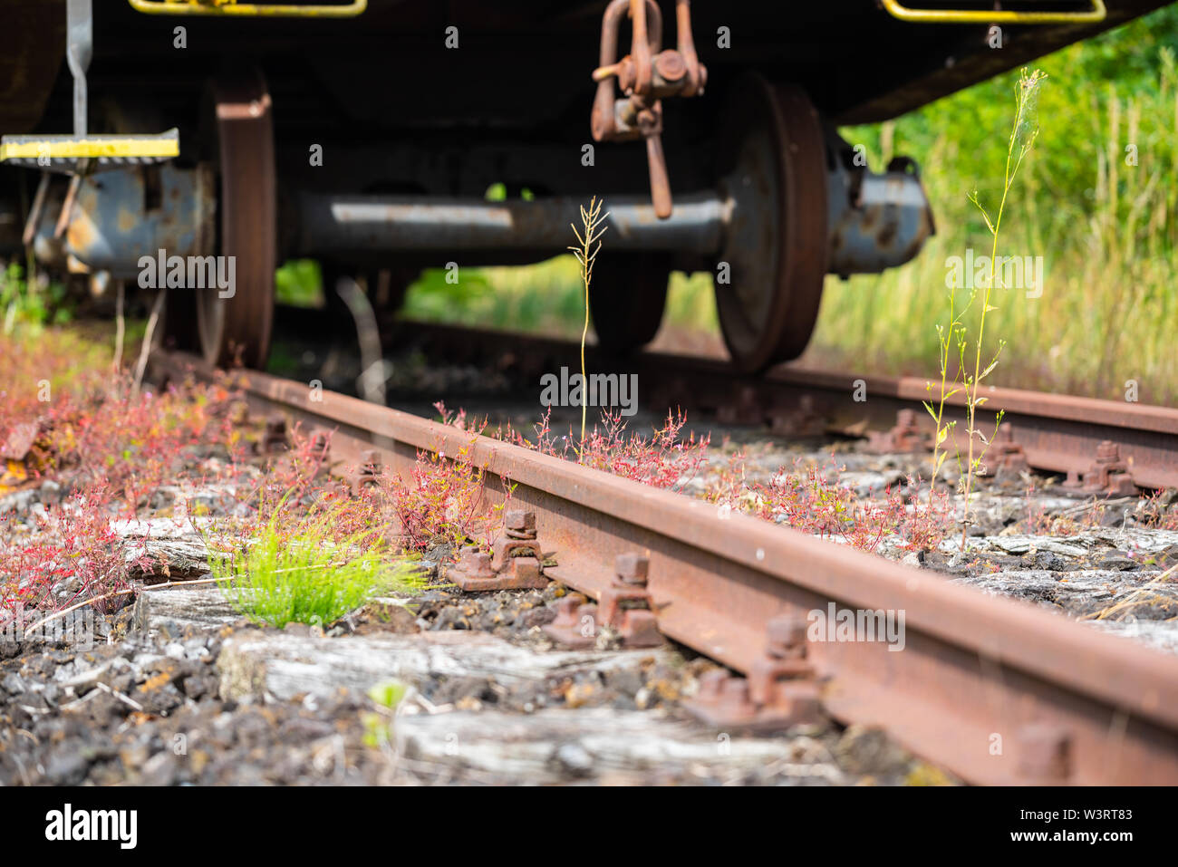 An old forgotten train carriage on a disused railway Stock Photo - Alamy