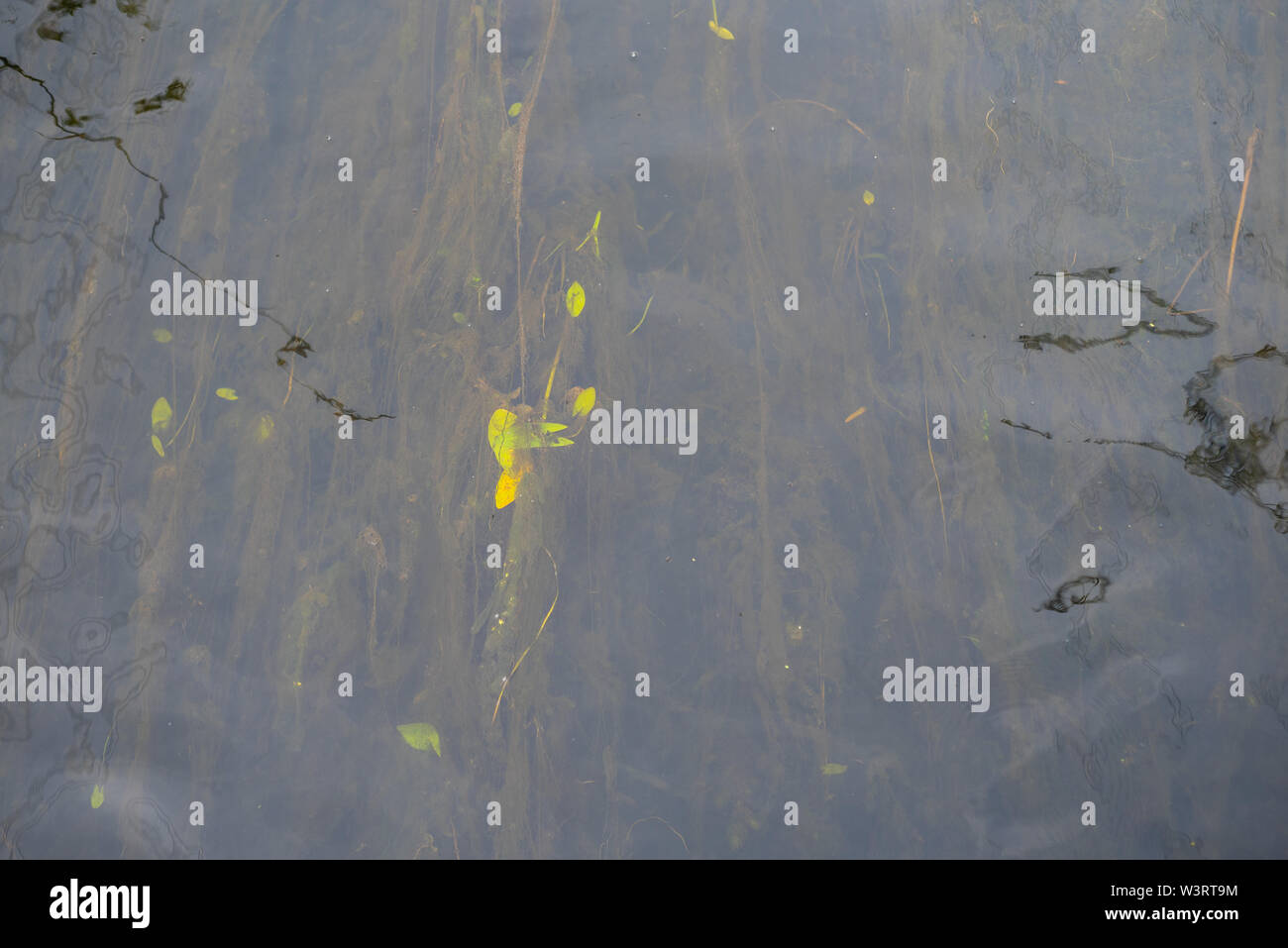 The water always finds its way through nature Stock Photo - Alamy