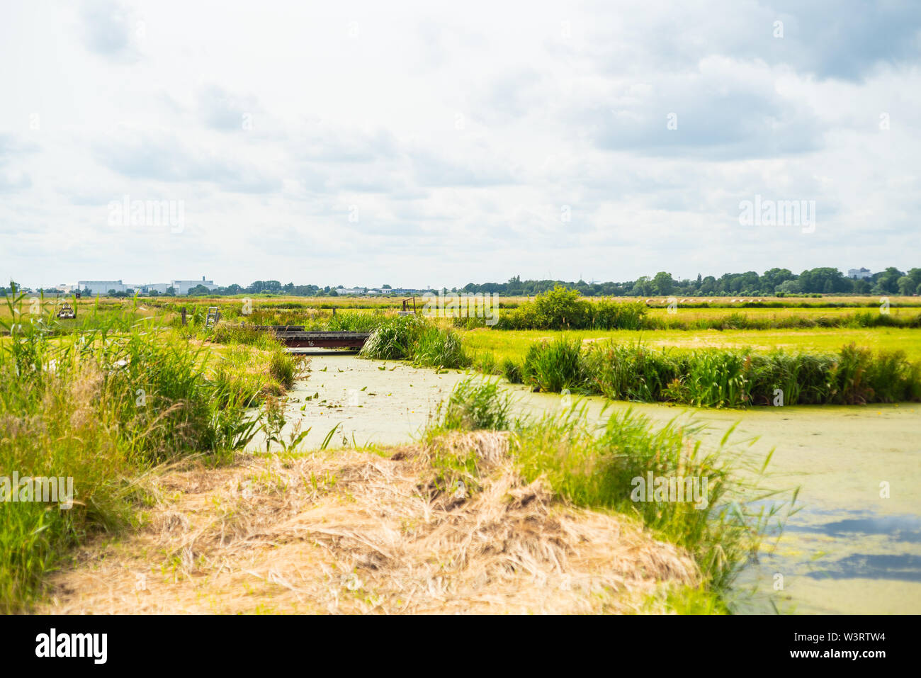 The water always finds its way through nature Stock Photo - Alamy