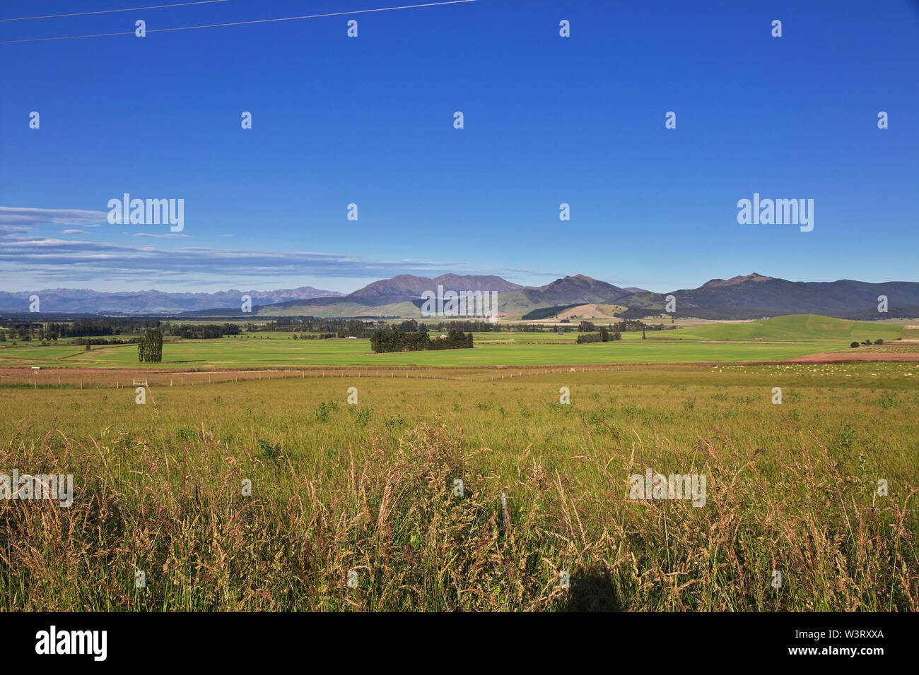 Nature of South island, New Zealand Stock Photo - Alamy