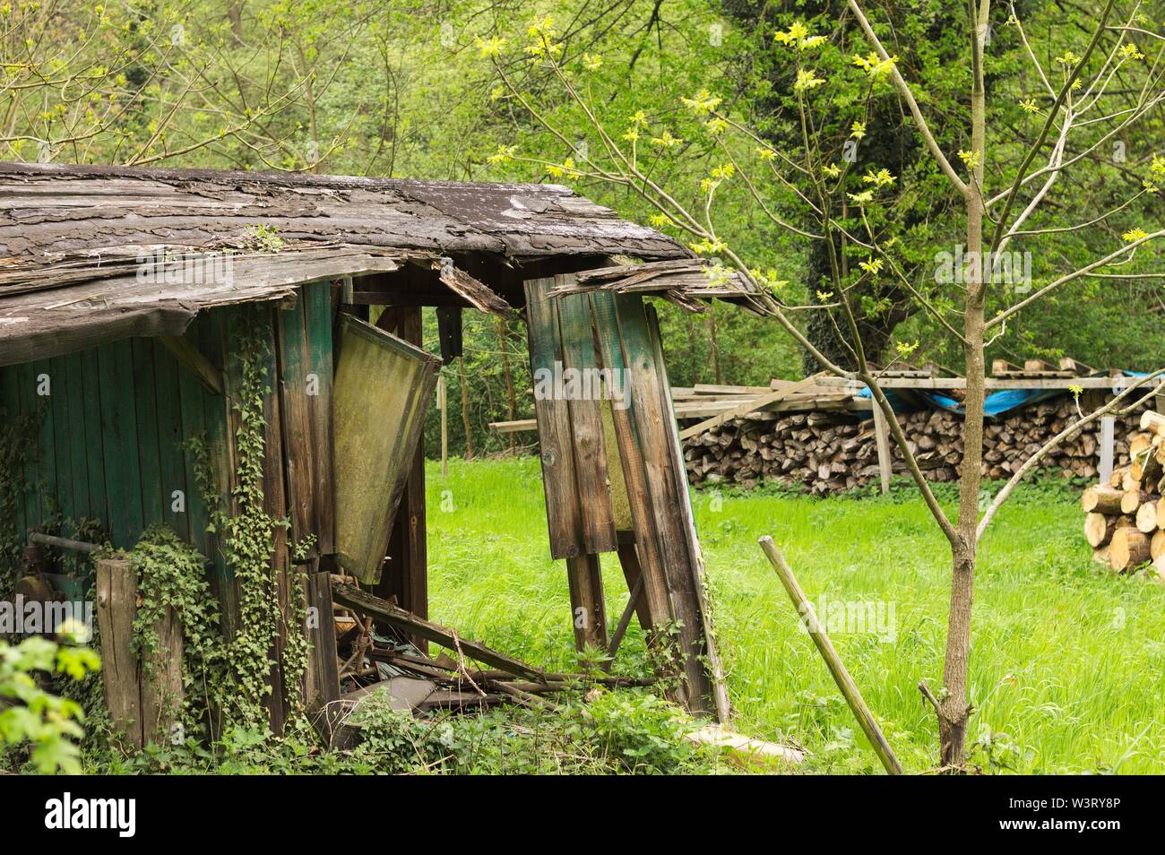 Ruined wooden hut in the garden (Germany, Europe Stock Photo - Alamy