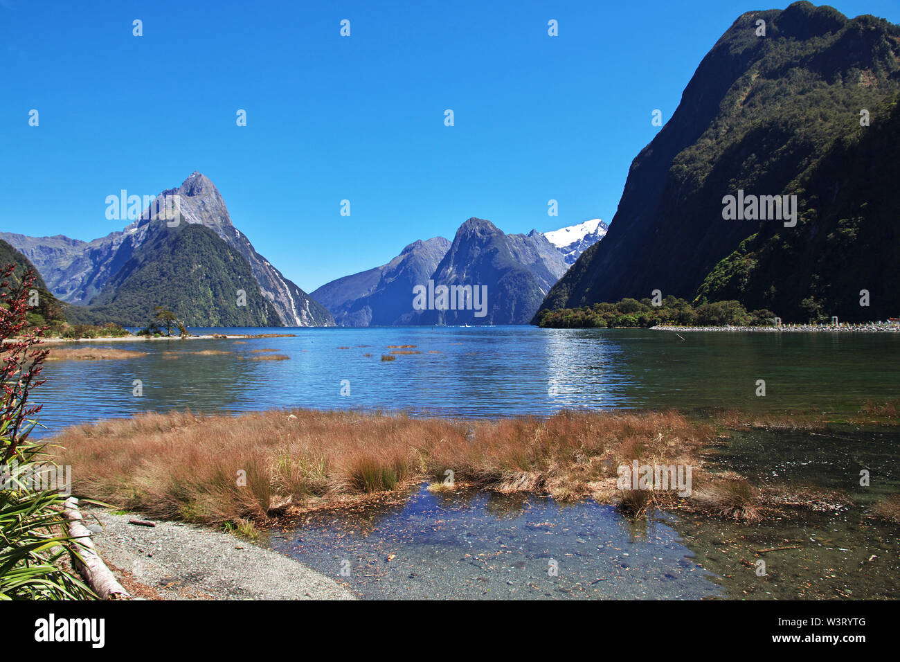 Cruise to Milford Sound Fjord, New, Zealand Stock Photo - Alamy