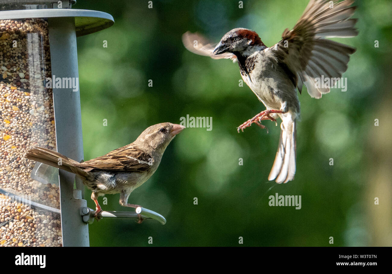 Up above hi-res stock photography and images - Alamy
