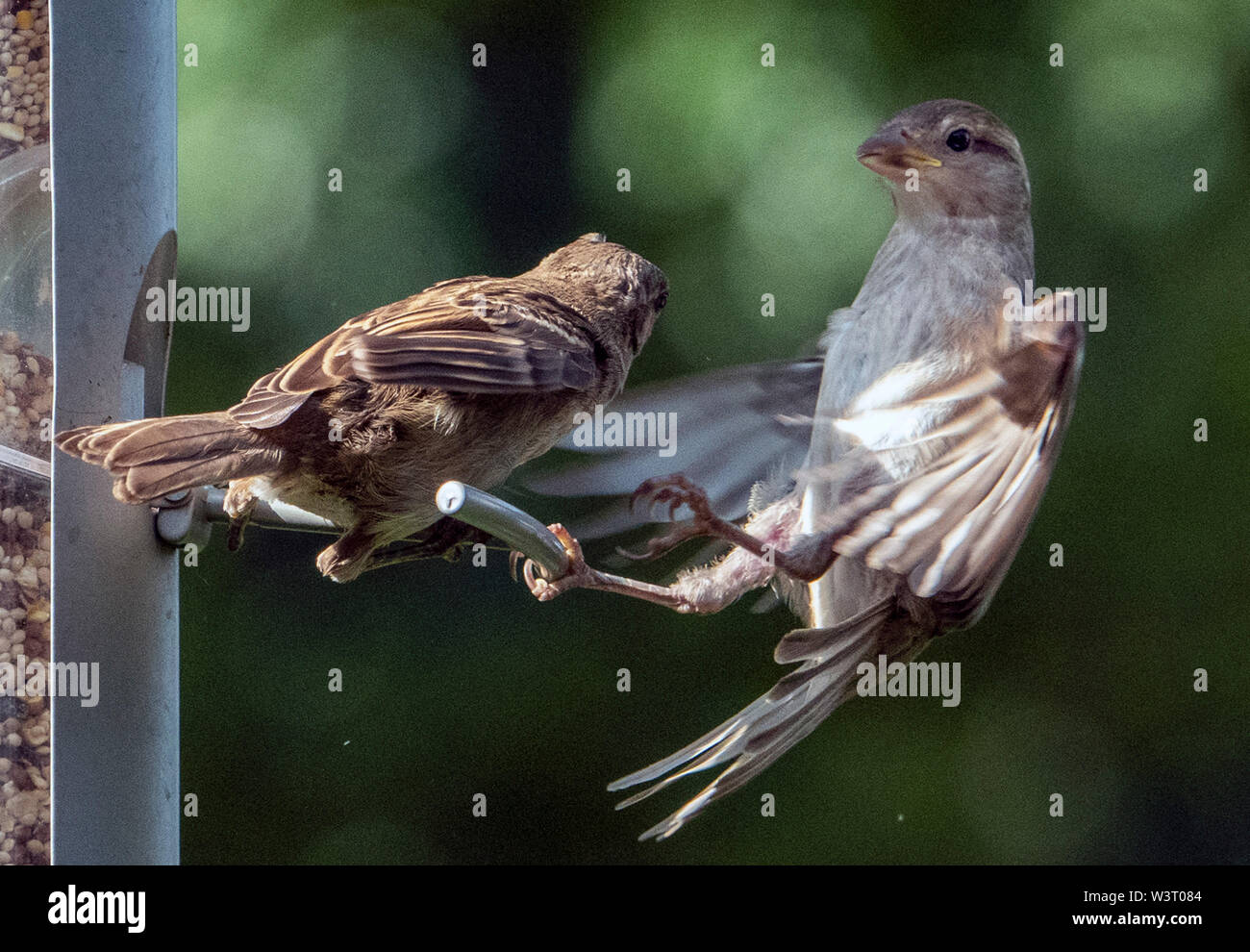 Backing off hi-res stock photography and images - Alamy