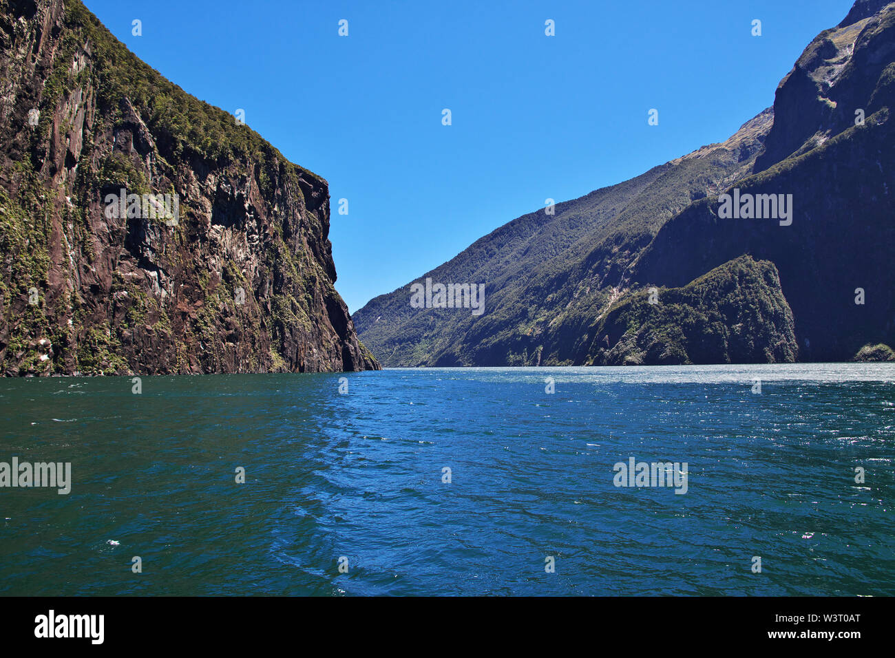 Cruise to Milford Sound Fjord, New, Zealand Stock Photo - Alamy