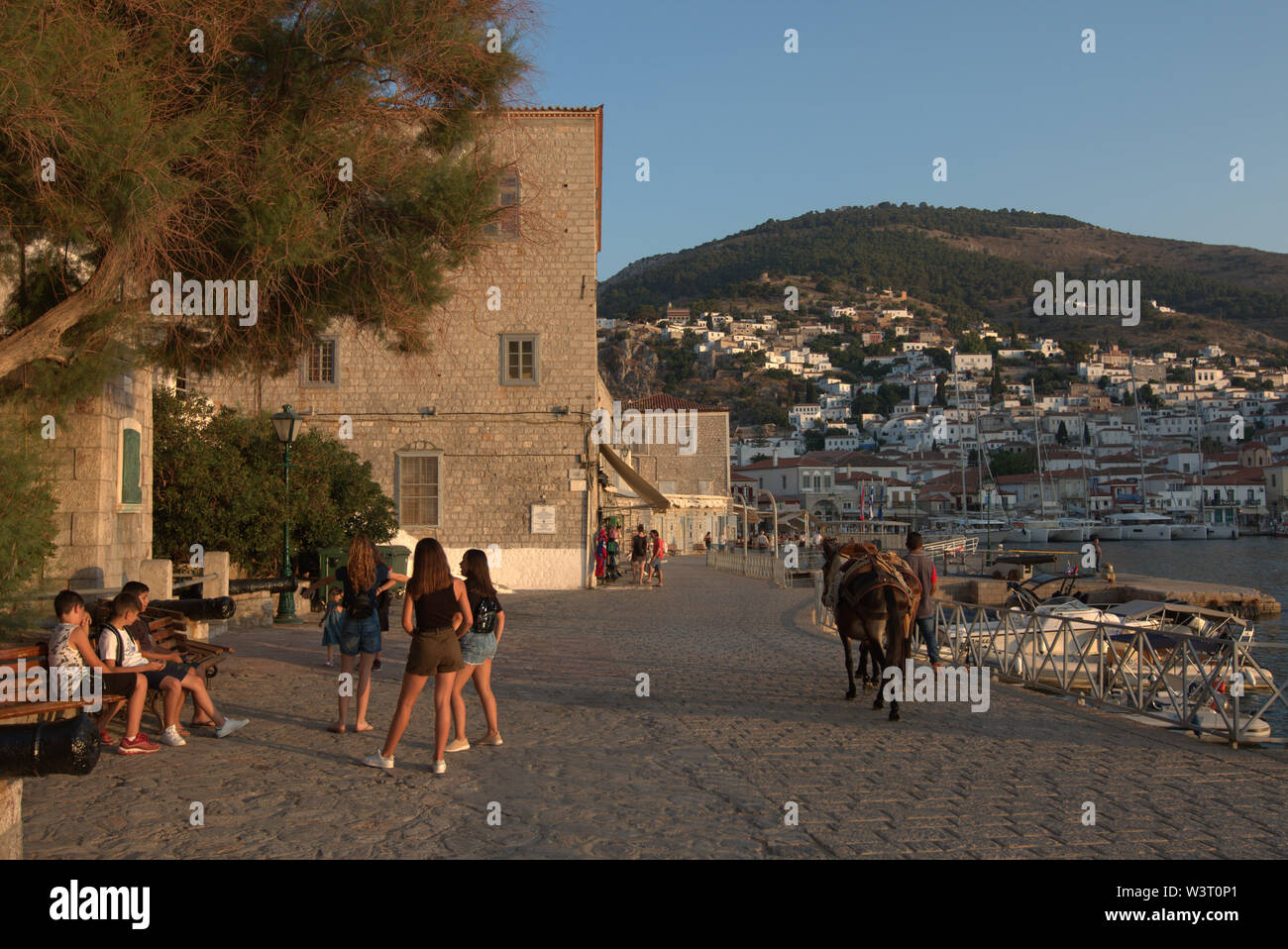 Street scene on Hydra Town, Hydra Island, Greece Stock Photo - Alamy