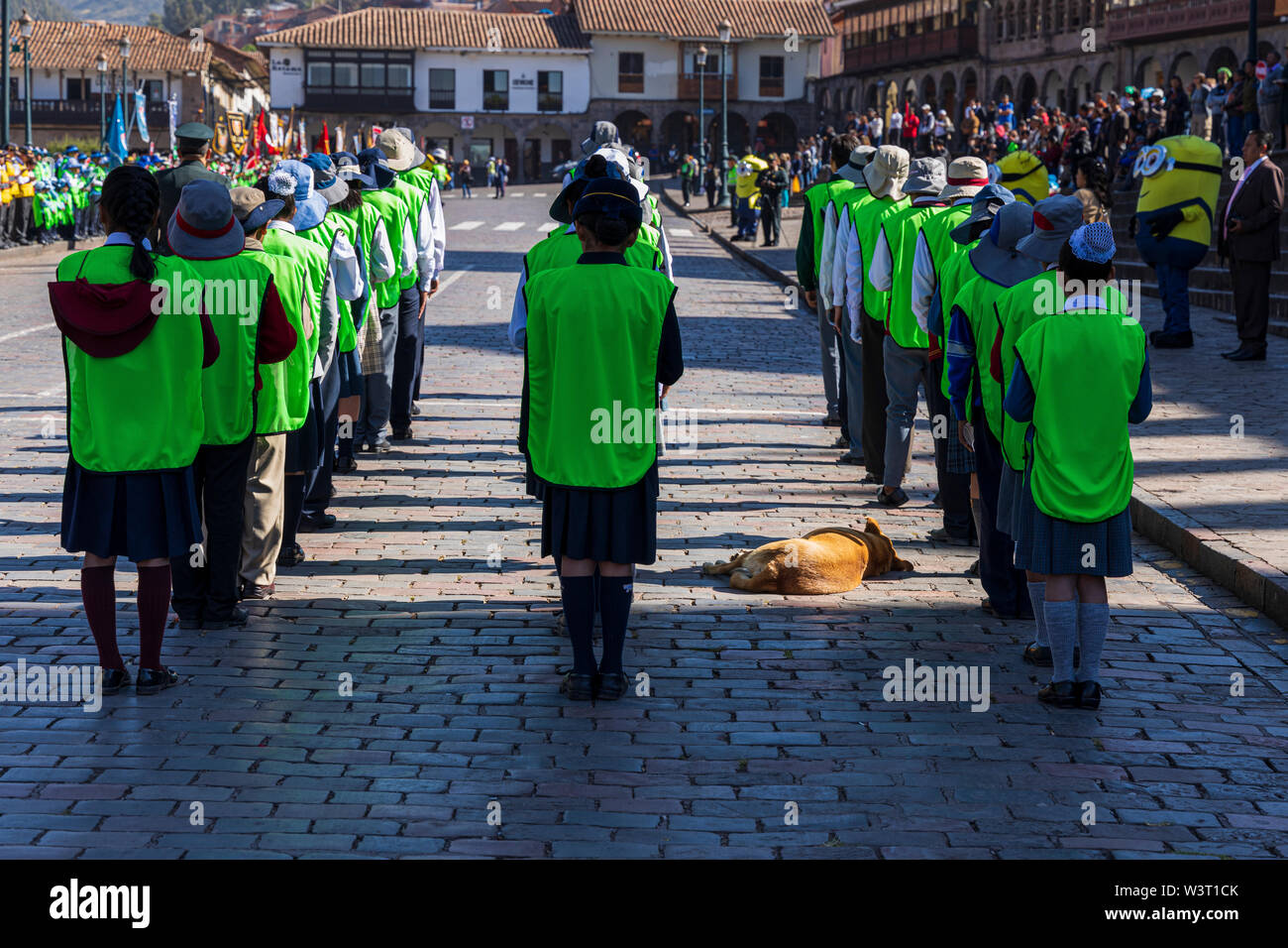 Peruvian dog sleeping on the cobbled street surrounded by a group of ...