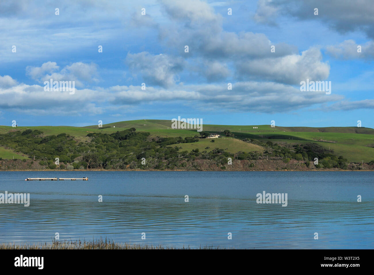 Point Reyes National Seashore, Marin County, California Stock Photo - Alamy
