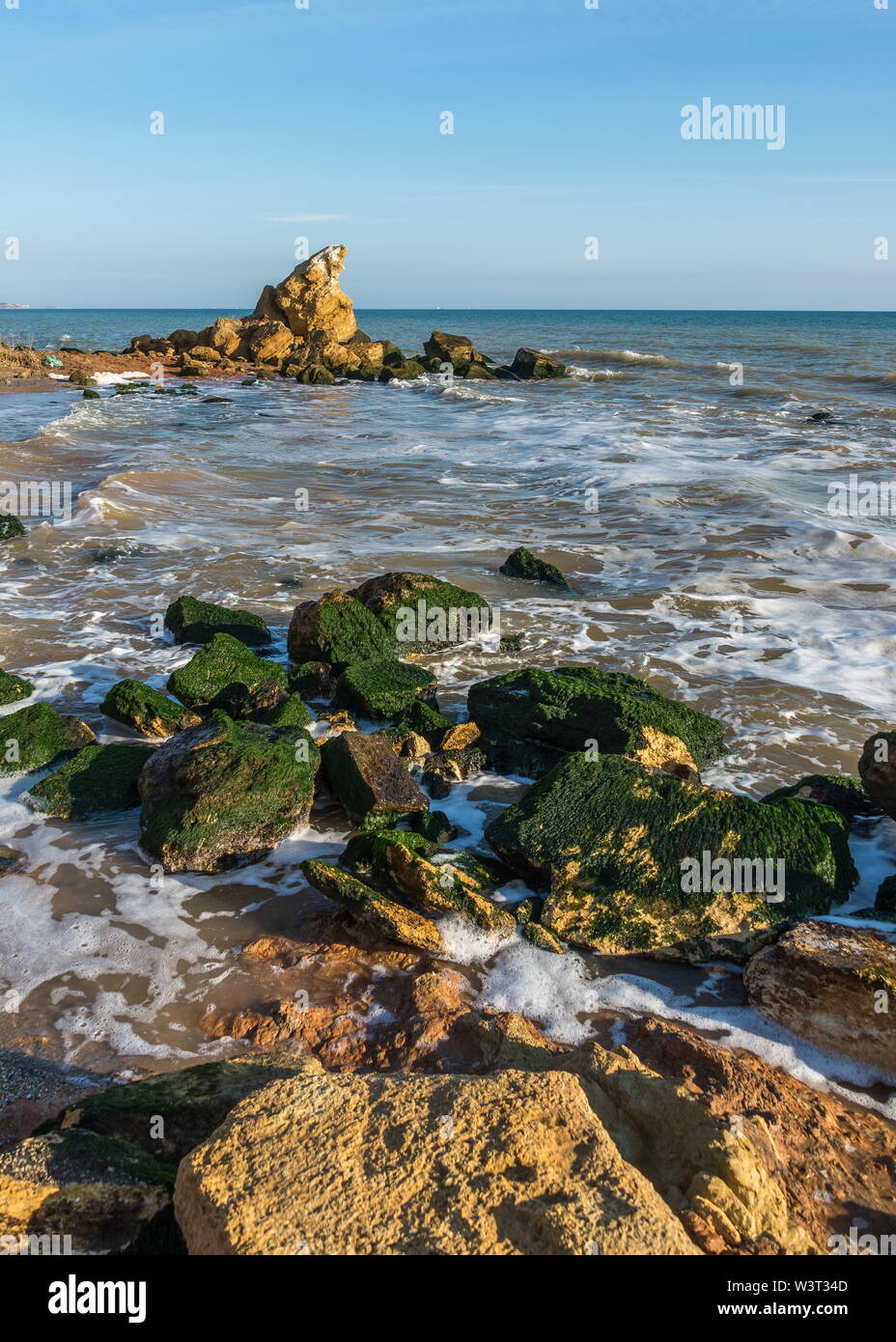 Stones covered with green algae on the Black Sea coast near the village ...