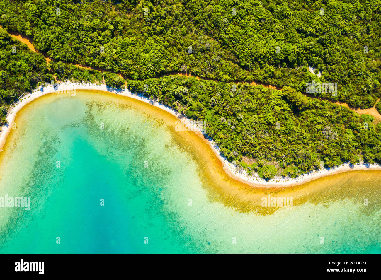 Aerial view coastal pine hi-res stock photography and images - Alamy