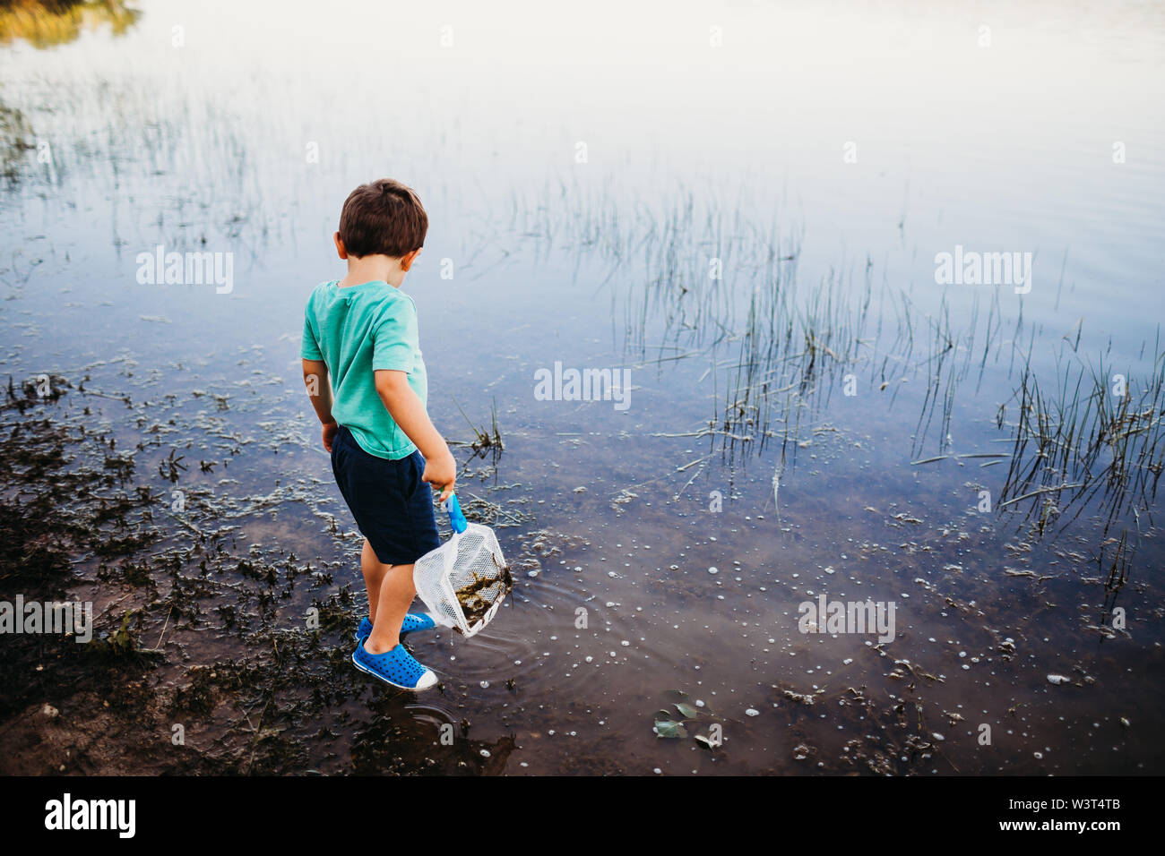 Young boy looking into water to find fish at the lake Stock Photo - Alamy