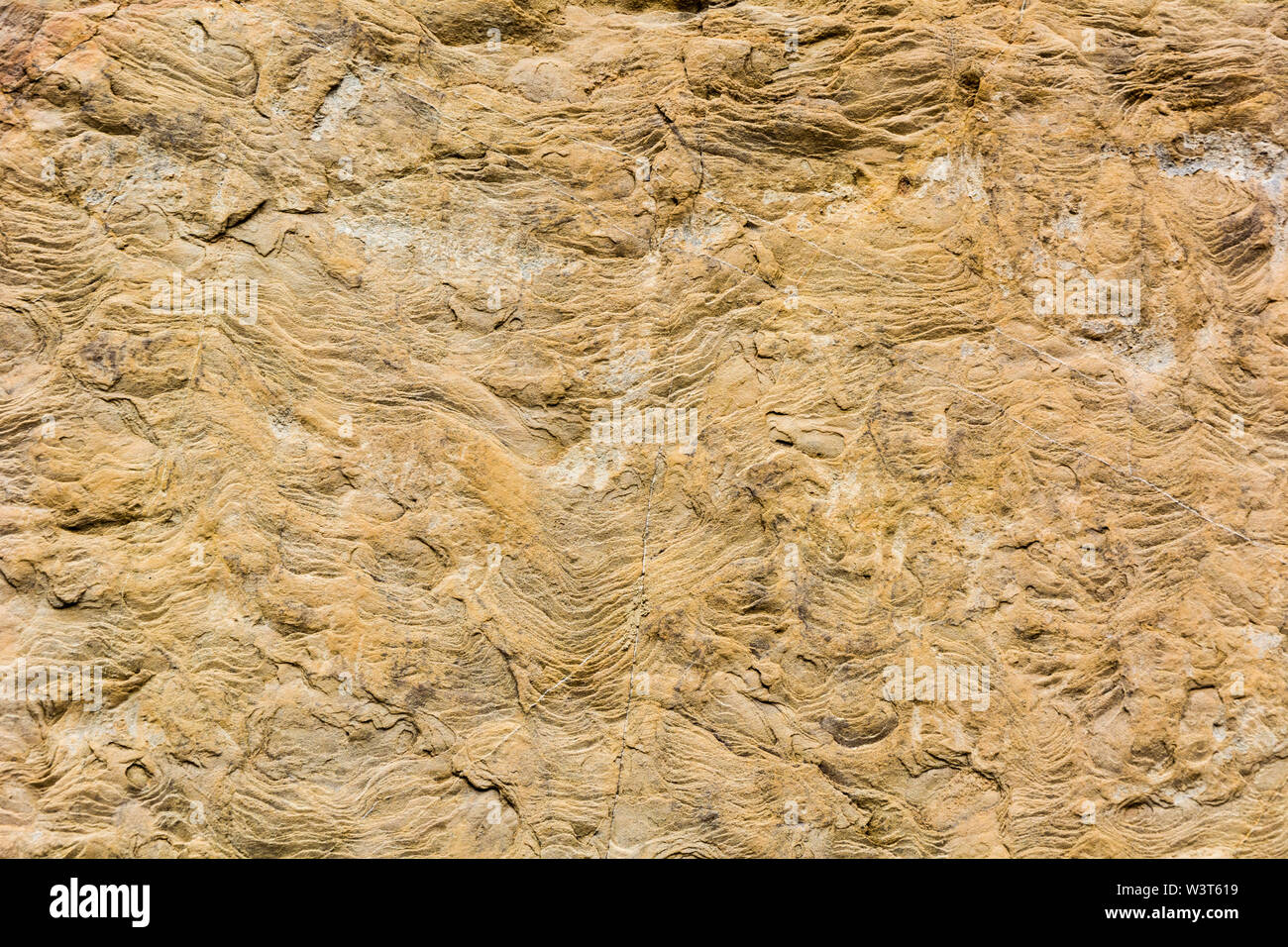 Scenic weathered stone surface with signs of destruction Stock Photo ...