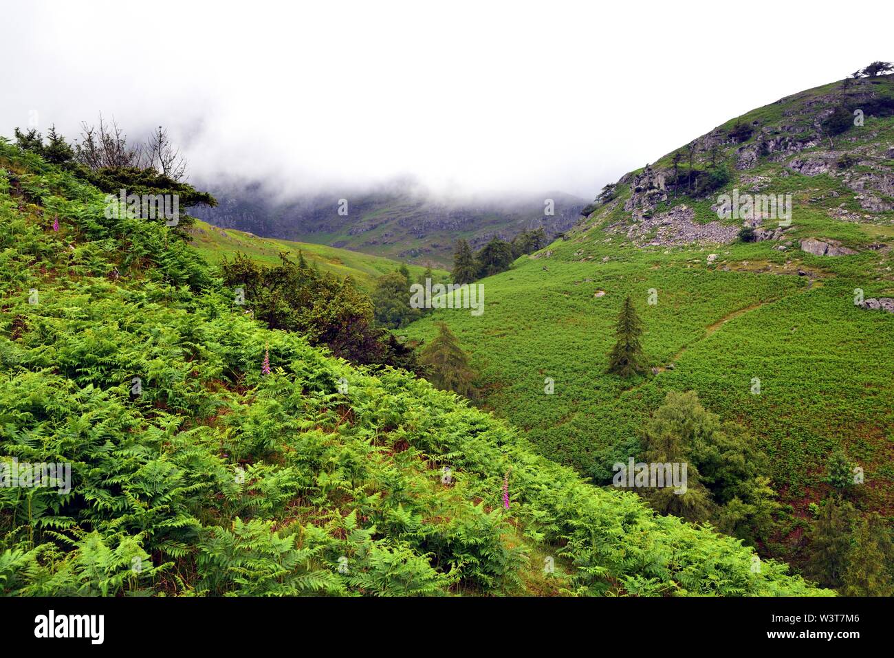Wetherlam summit hi-res stock photography and images - Alamy