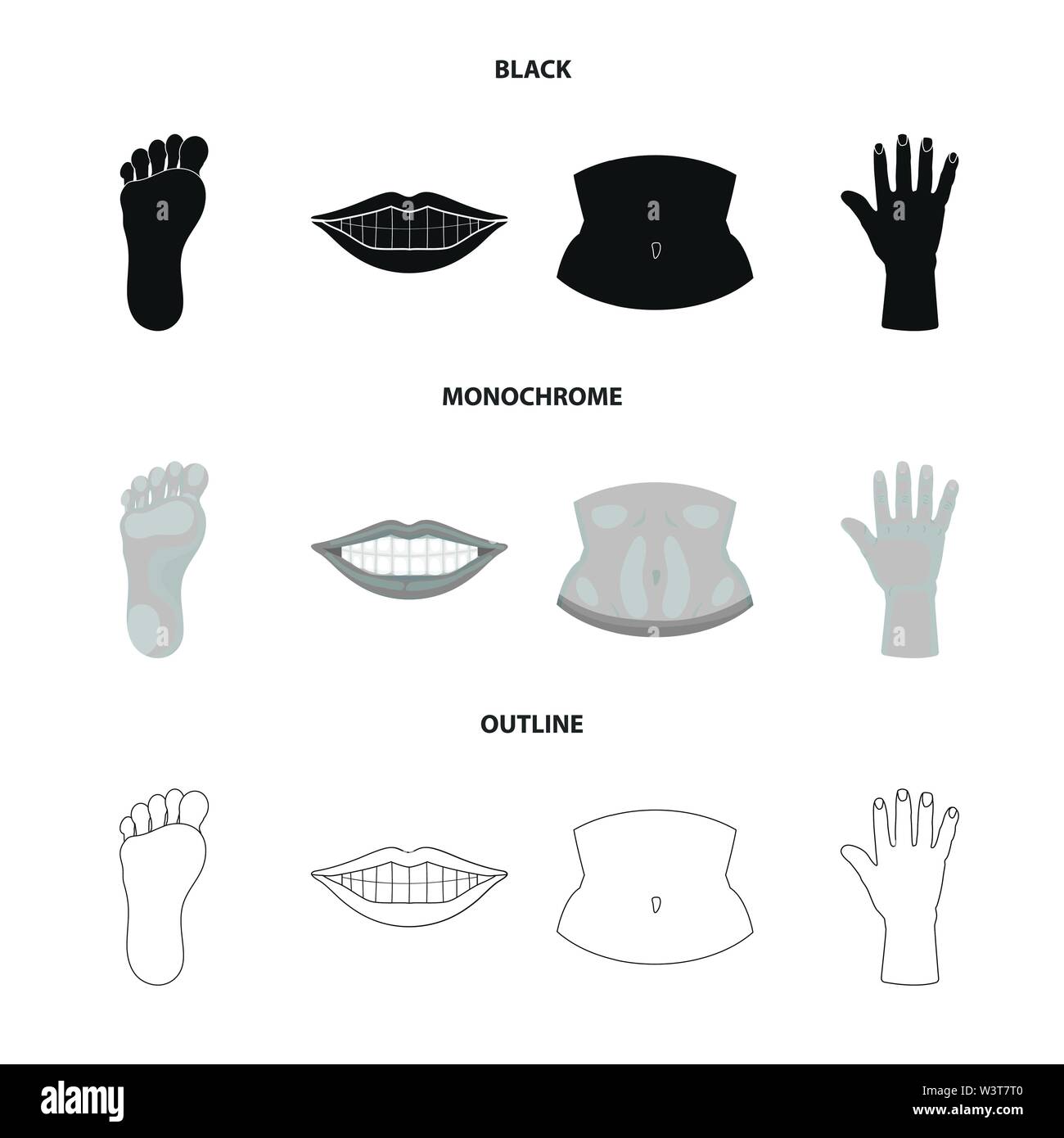 Isolated object of body and part icon. Set of body and anatomy vector ...