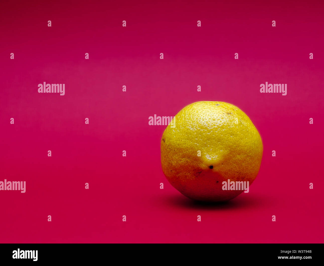 One single lemon isolated on magenta background with copy space Stock ...