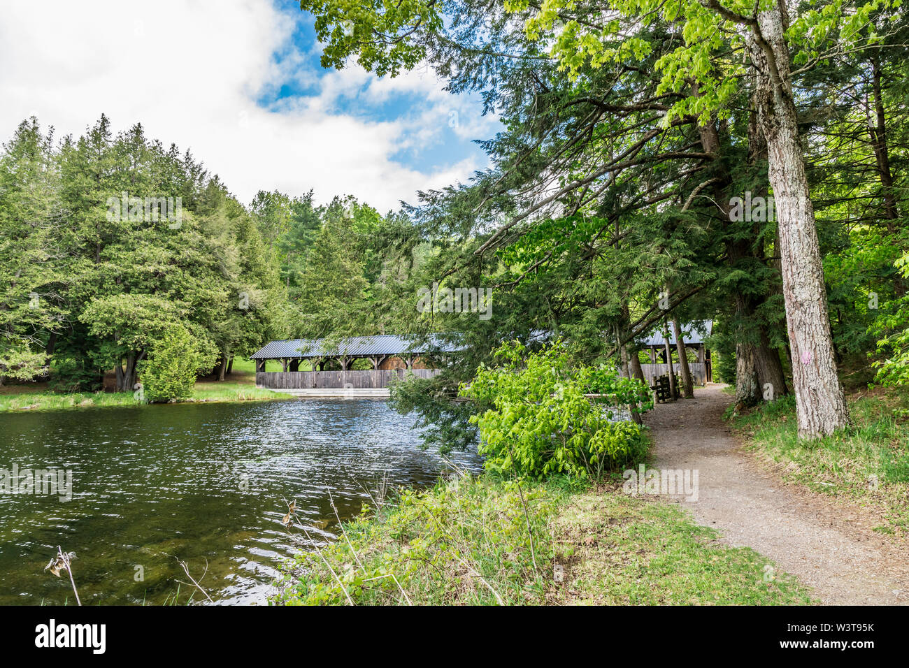 Evergreen trees lake hi-res stock photography and images - Alamy