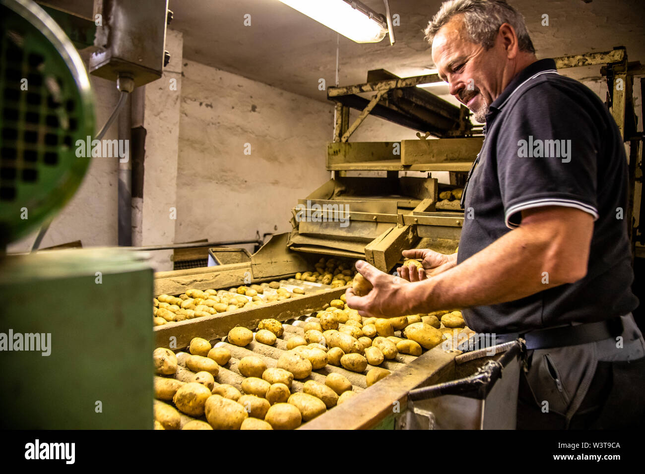 Sorting by genus hi-res stock photography and images - Alamy