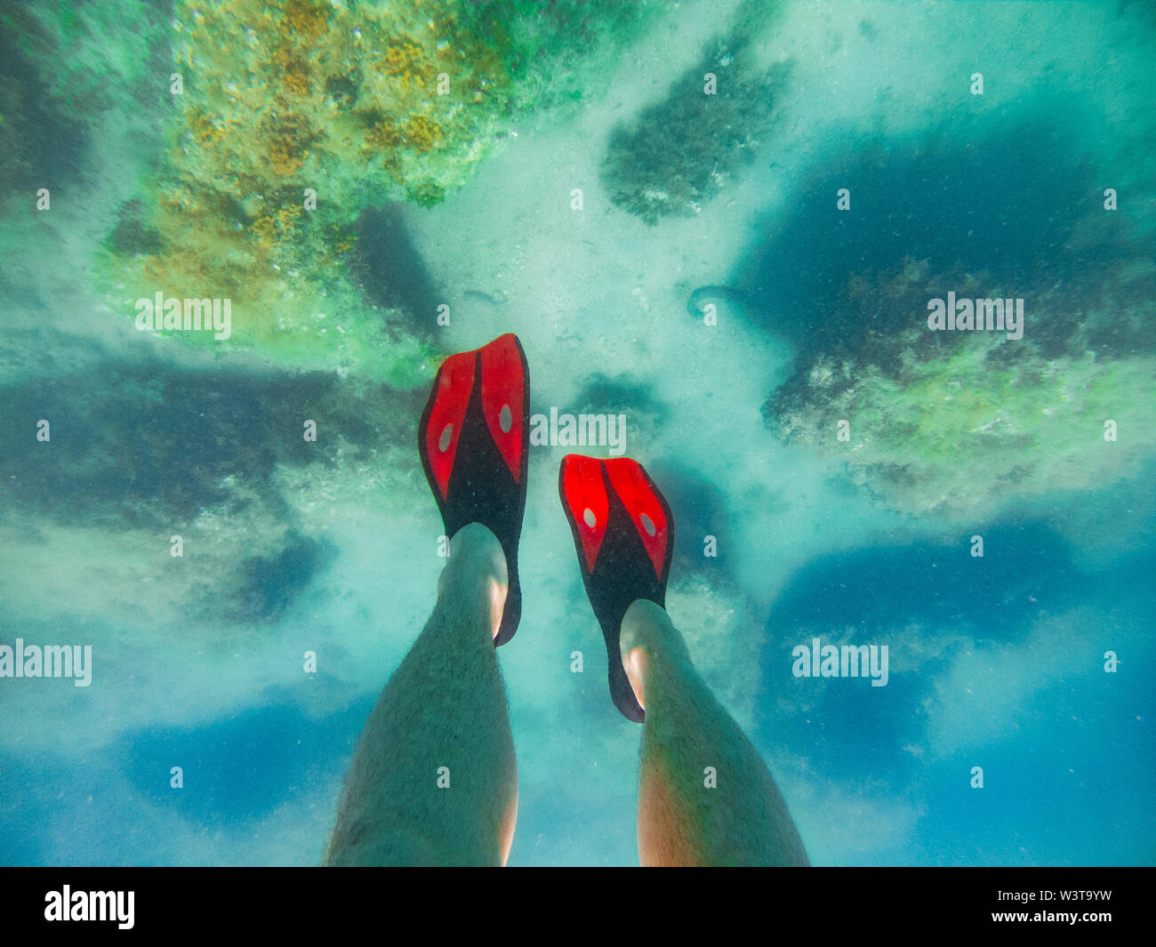 mans legs in red flippers underwater snorkeling. underwater view Stock ...
