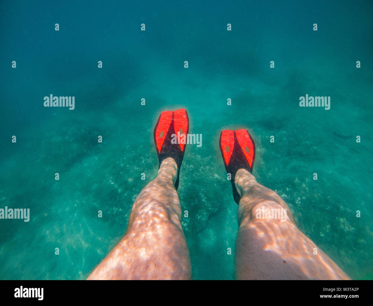 mans legs in red flippers underwater snorkeling. underwater view Stock ...