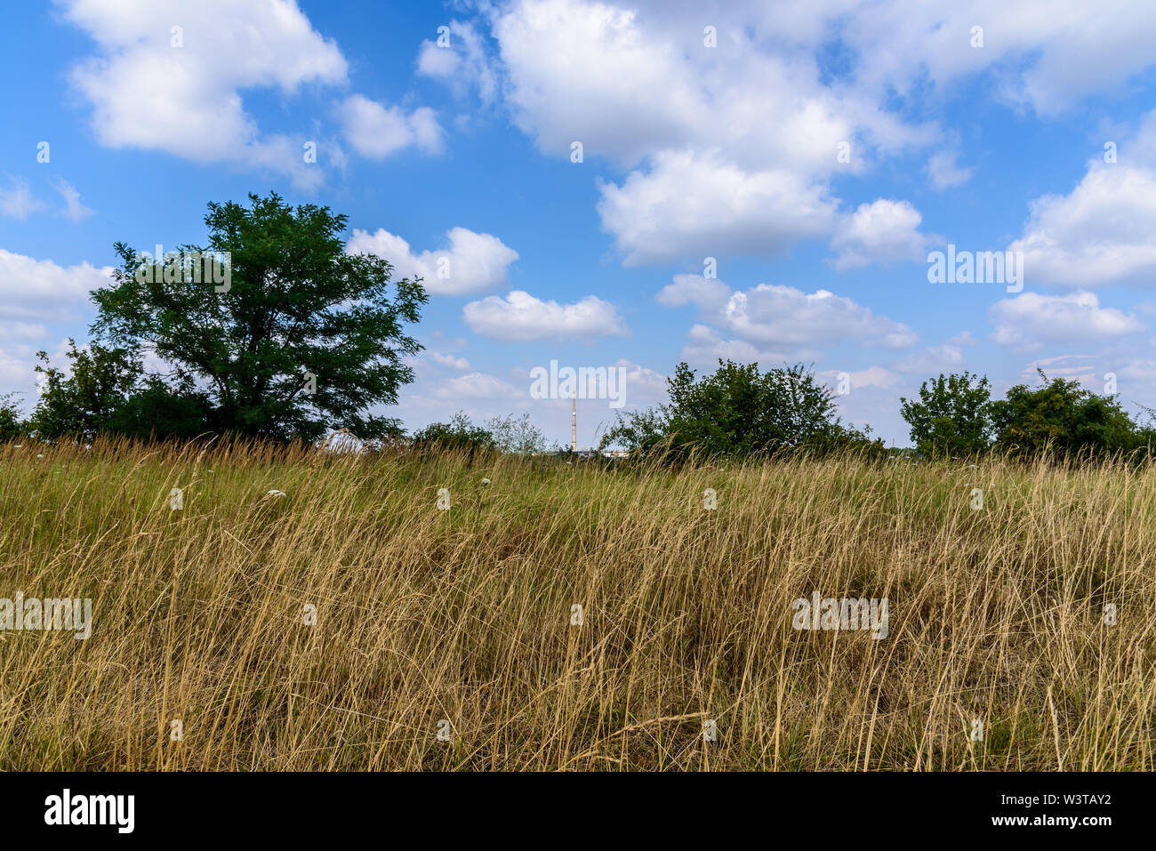 Natural spot in the middle of the city Stock Photo - Alamy
